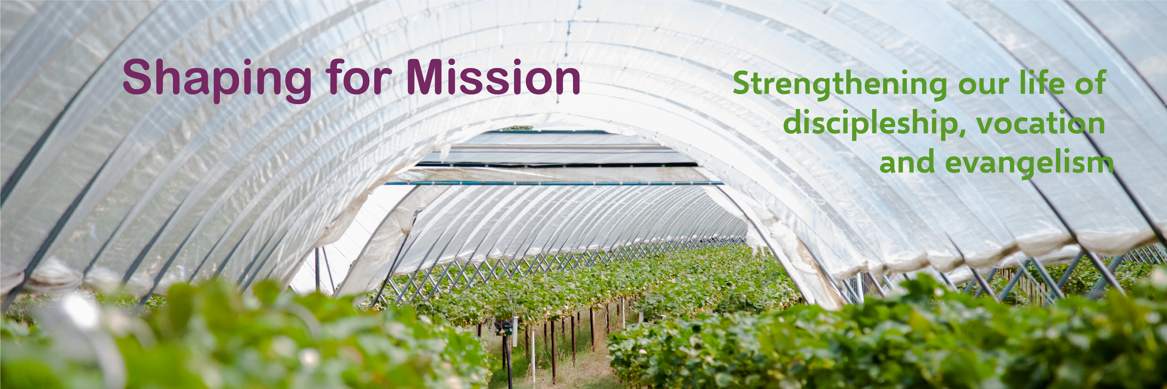 Diocese of Lichfield